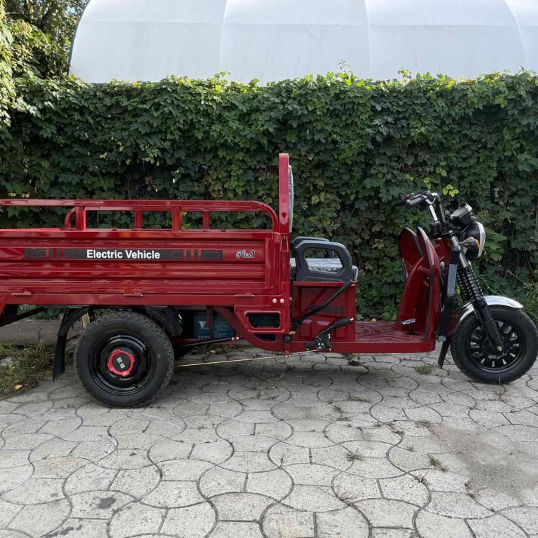 Scuter Electric cu remorca - plus1